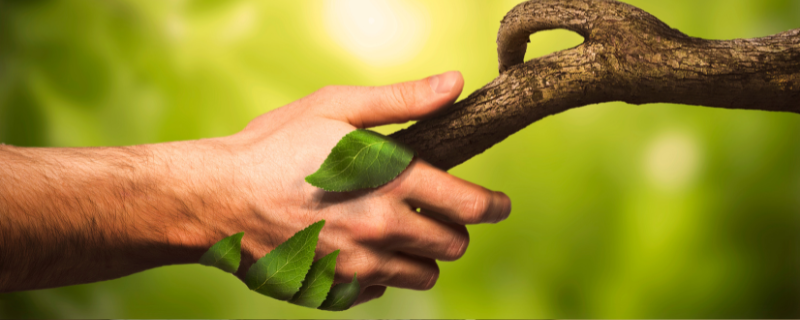 BTSA Gestion et protection de la nature (GPN) - Adulte