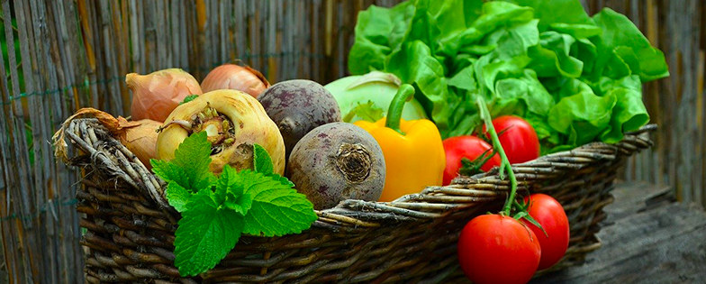 Devenir Maraîcher 凌 - missions, formations, salaire