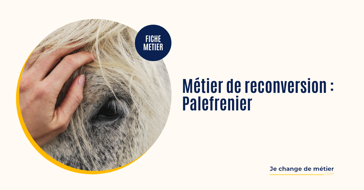 Devenir palefrenier : formation, missions, reconversion Devenir palefrenier : formation, missions, reconversion