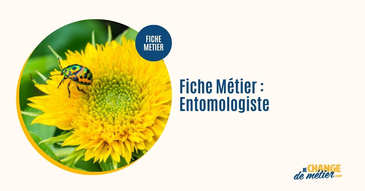 Devenir Entomologiste : formation, salaire, reconversion