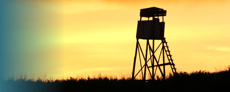 Devenir Garde chasse : formation, salaire, reconversion