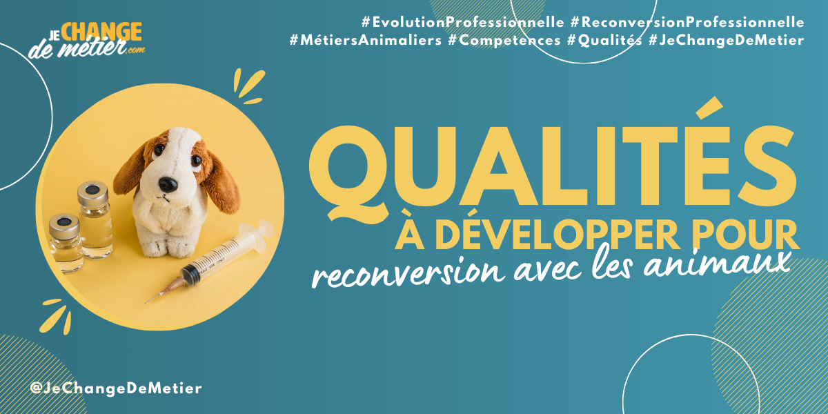 Qualités indispensables pour reconversion dans un métier animalier